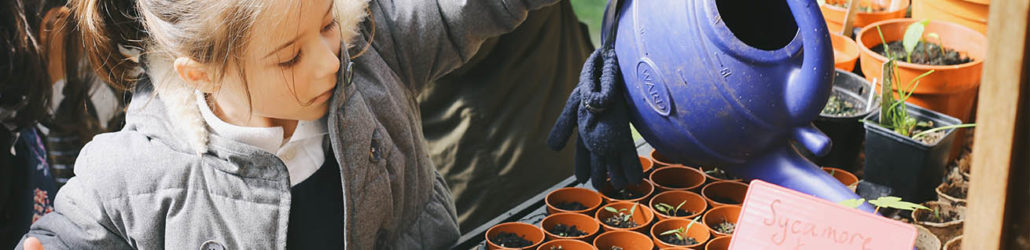 Science & Technology Club – St Michael's School